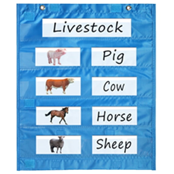 Classroom Pocket Chart for Whiteboard, Double-Sided Pocket Chart Pocket ...