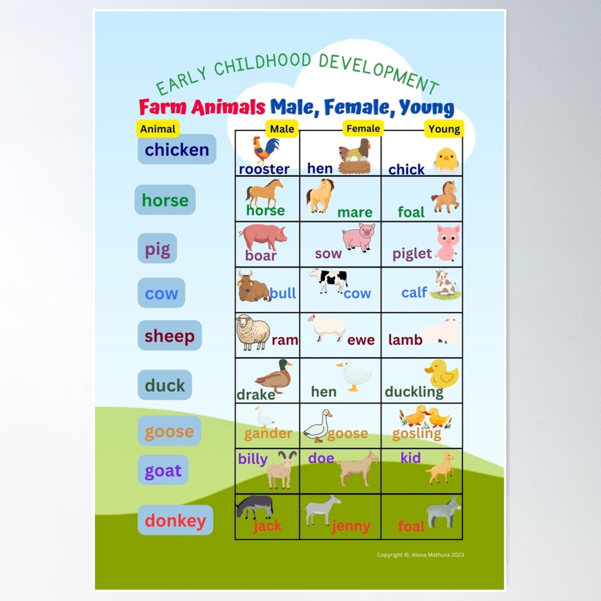 Classroom Posters Farm Animals Male, Female, Young & Other School/Home ...