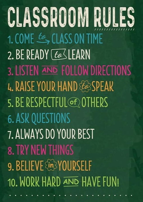 Classroom Rules Wall Art Decor middle school Class Rules Poster ...