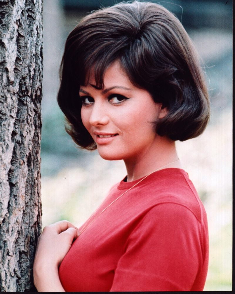 Claudia Cardinale Leaning Against Tree In Red Top Photo Print (8 x 10 ...