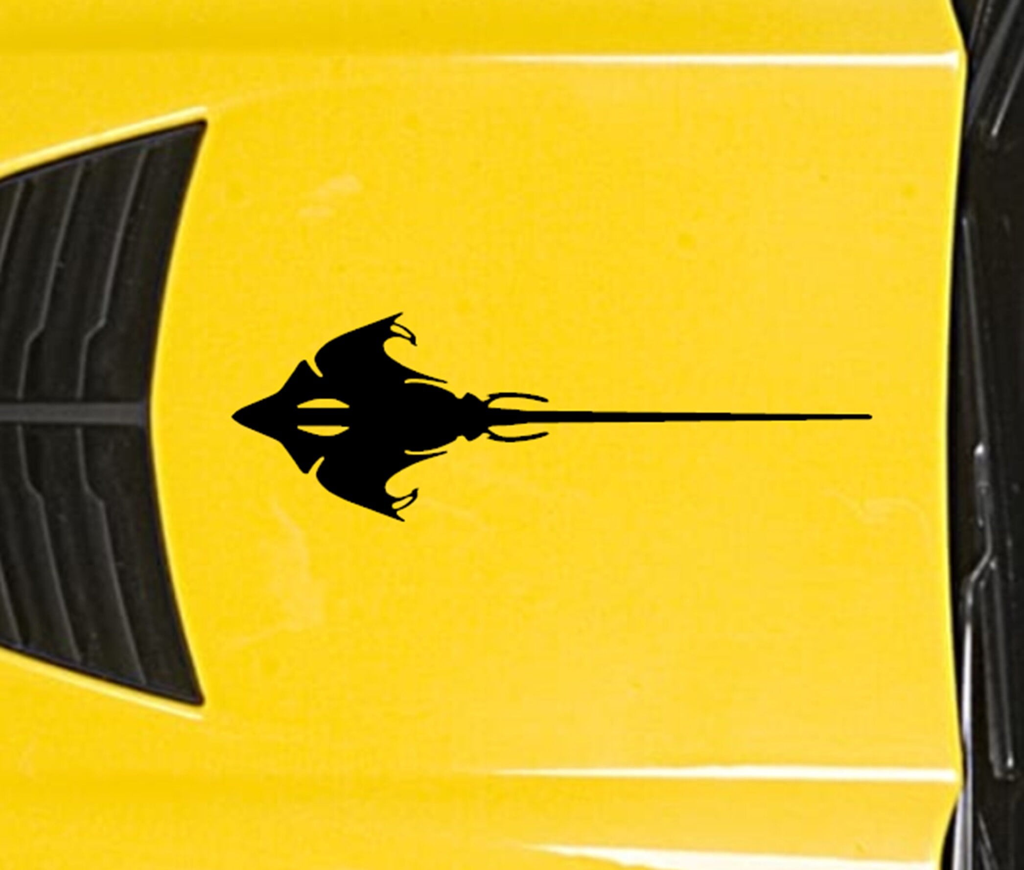 Clausen's World New Design - STINGRAY Hood/Door Vinyl Decal 3 sizes ...