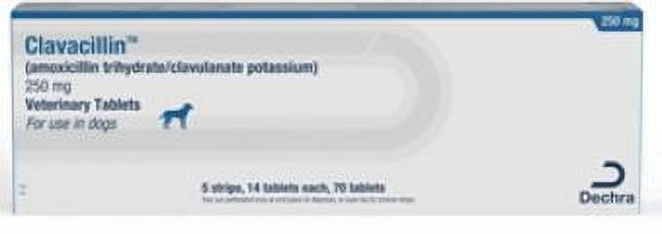 Clavacillin Tablets, for Dogs and Cats, 250mg - Walmart.com