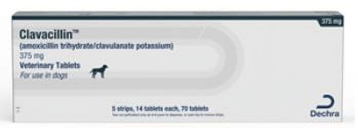 Clavacillin Tablets, for Dogs and Cats, 375mg - Walmart.com