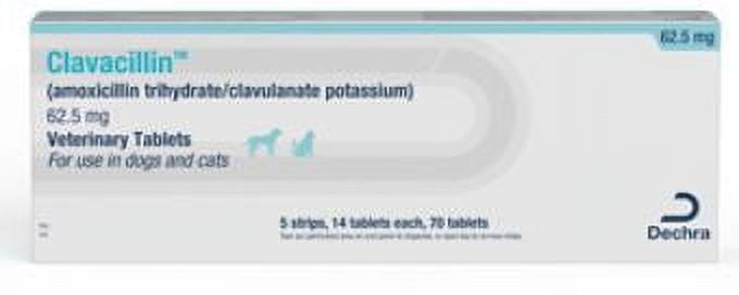 Clavacillin Tablets, for Dogs and Cats, 62.5mg - Walmart.com