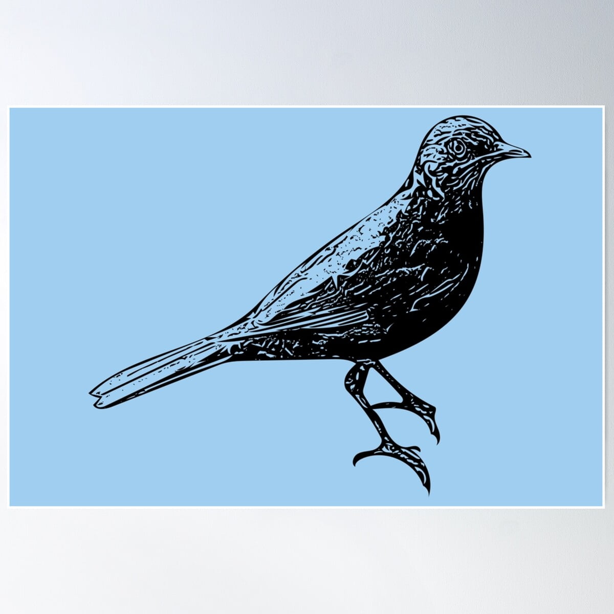 Clay-Colored Thrush Black Design Poster Wall Art, Modern Wall Decor For ...