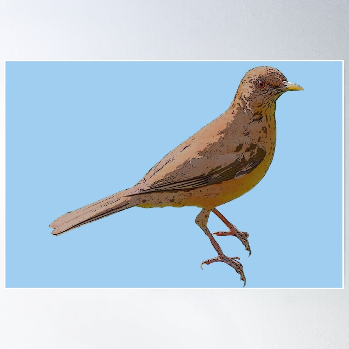 Clay-Colored Thrush Color Design Poster Wall Art, Modern Wall Decor For ...