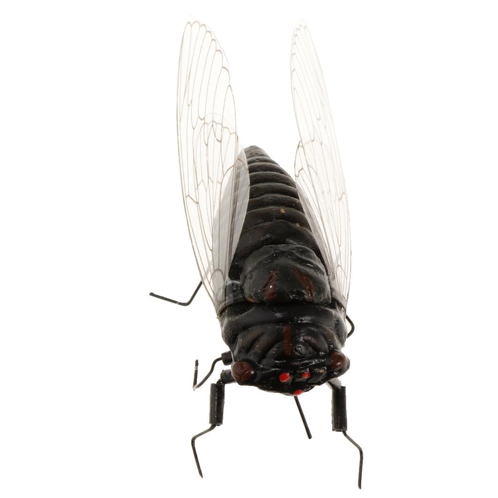 Clay Model Fridge Animal Figure home and garden Art Craft Cicada ...