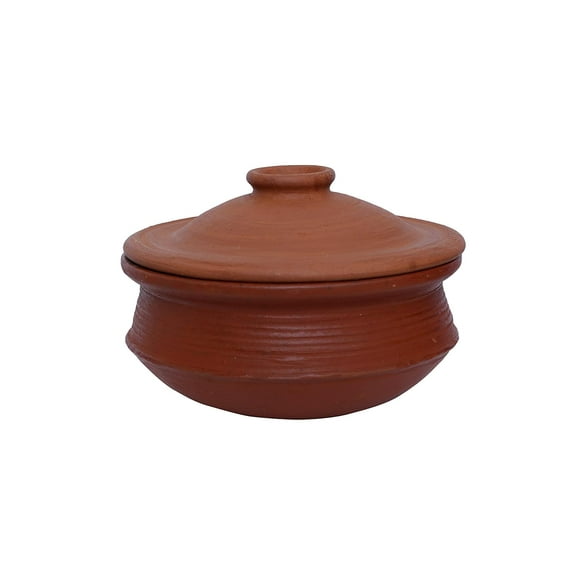 Biryani Pot