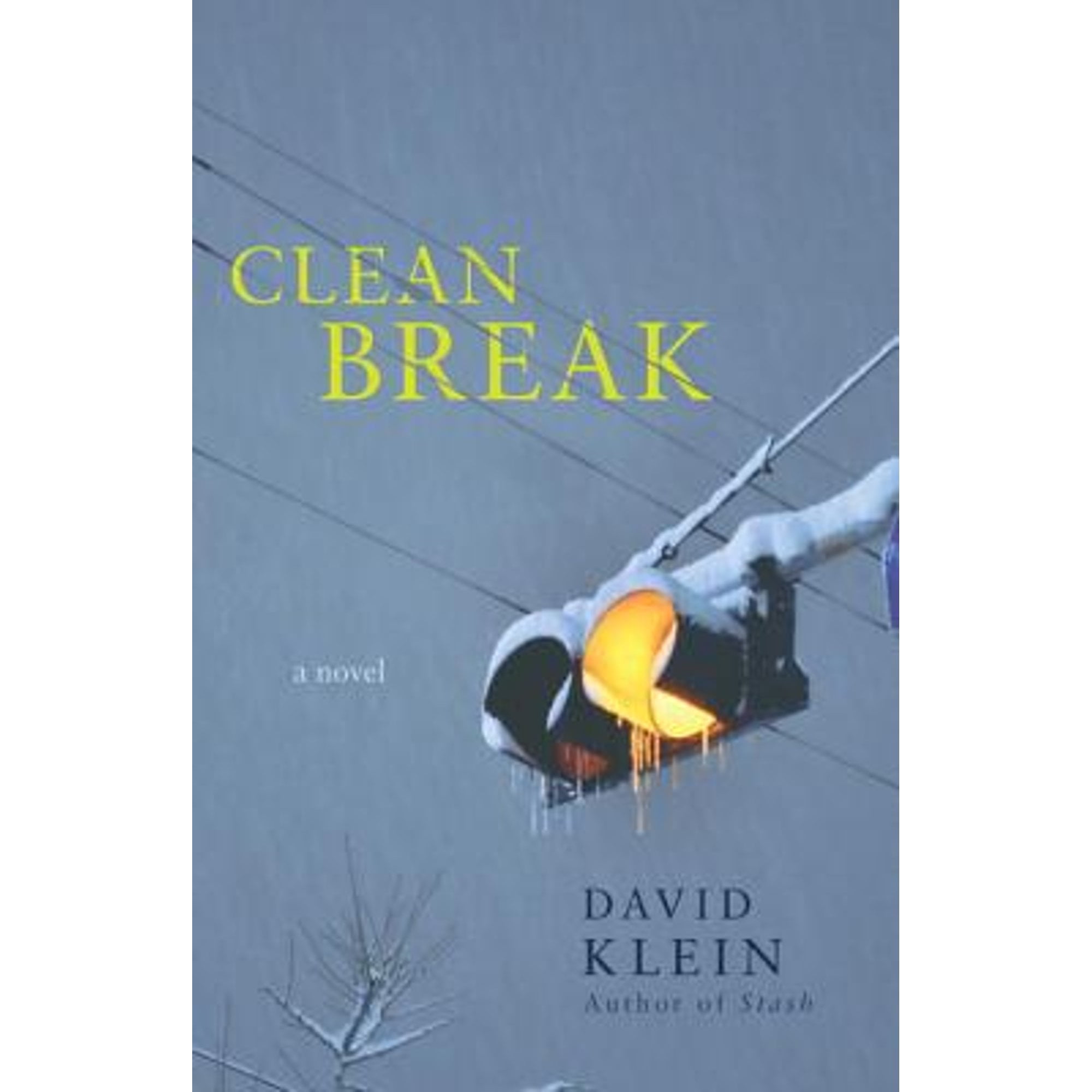 Pre-Owned Clean Break (Paperback) 030771683X 9780307716835 - Walmart.com