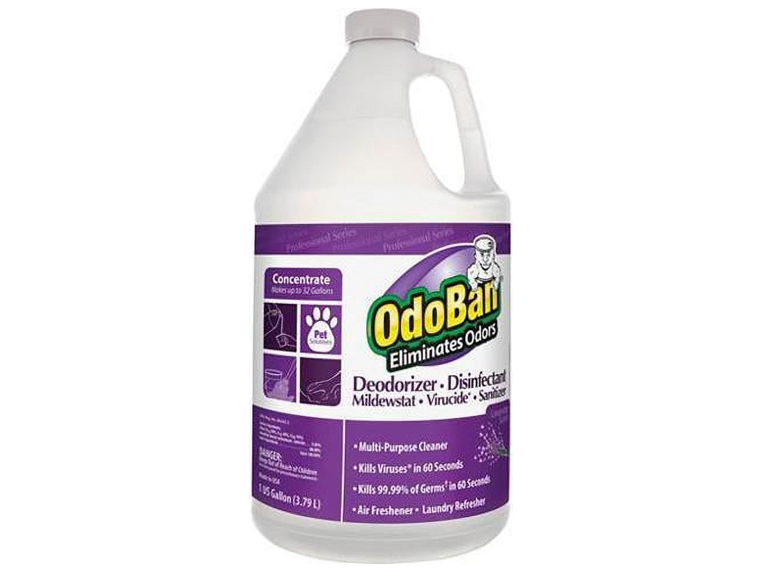 Clean Control Corporation OdoBan Deodorizer, Disinfectant Cleaner ...