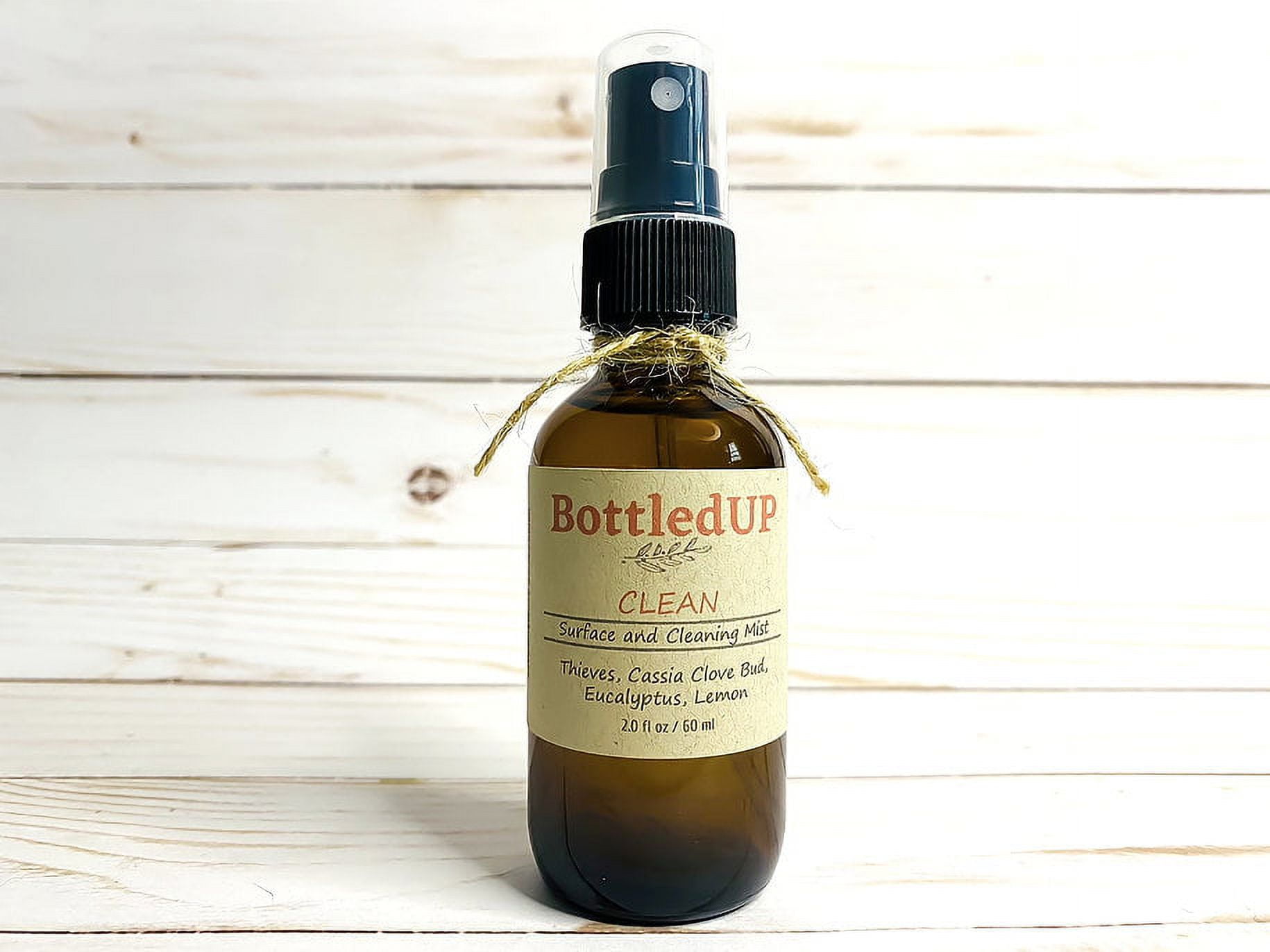 Clean Surface & Cleaning Mist - Walmart.com