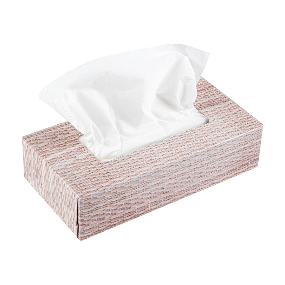 Clean Tek Professional 100 Sheet Facial Tissue Box - 2-Ply - 30 count ...