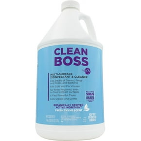 Clean Boss