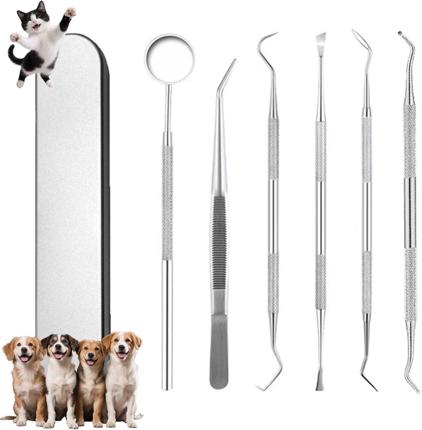 Cleaning Teeth Tools for Dogs, 3 Pieces Dog Dental Tooth Tool, Tools ...