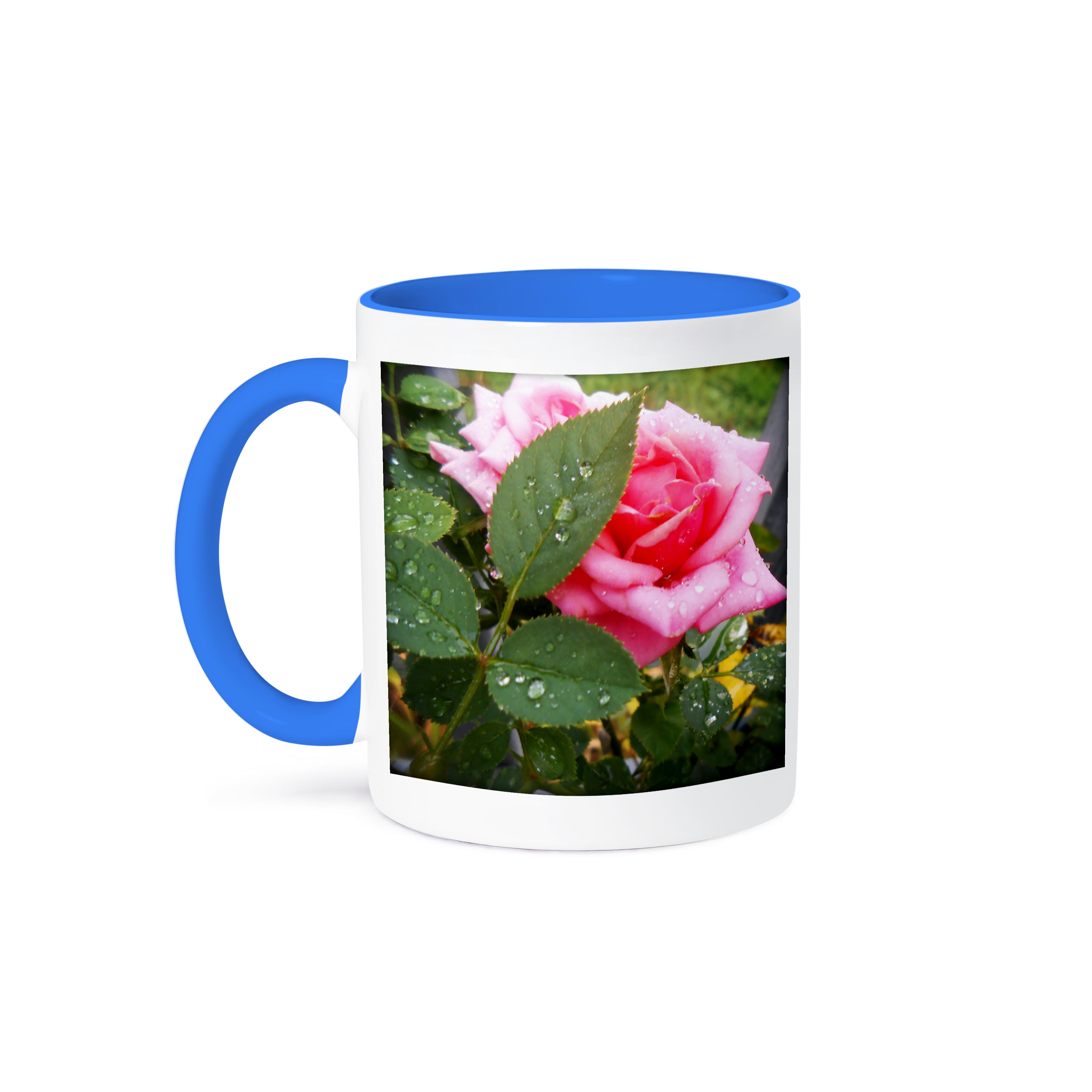 3dRose, Cleansing Rain and the Rose is a photo of a garden rose after a ...
