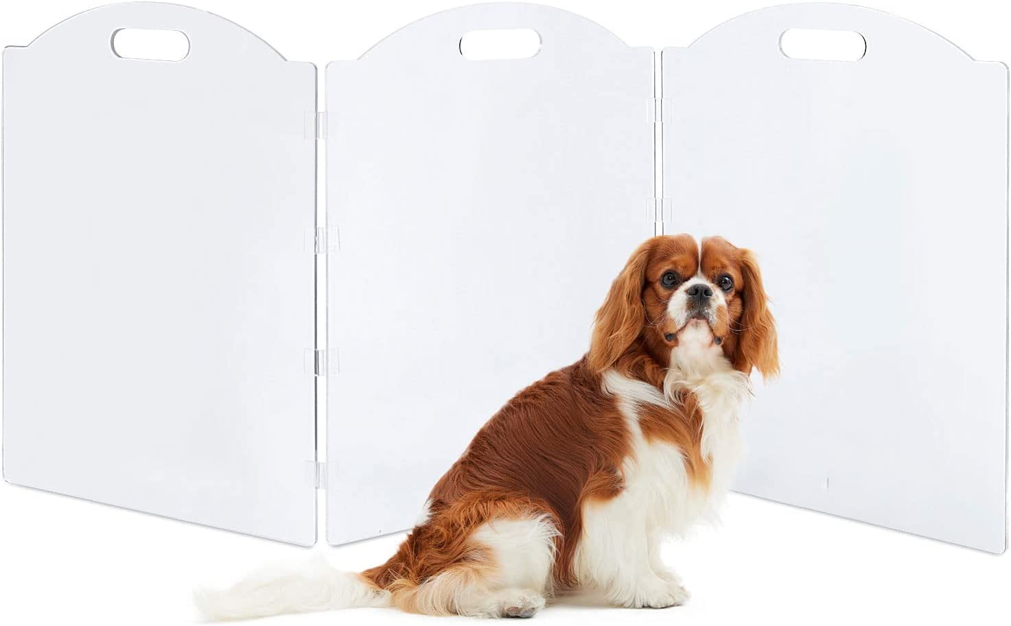 Clear Acrylic Dog Gate for The House - Freestanding Pet Barrier for ...