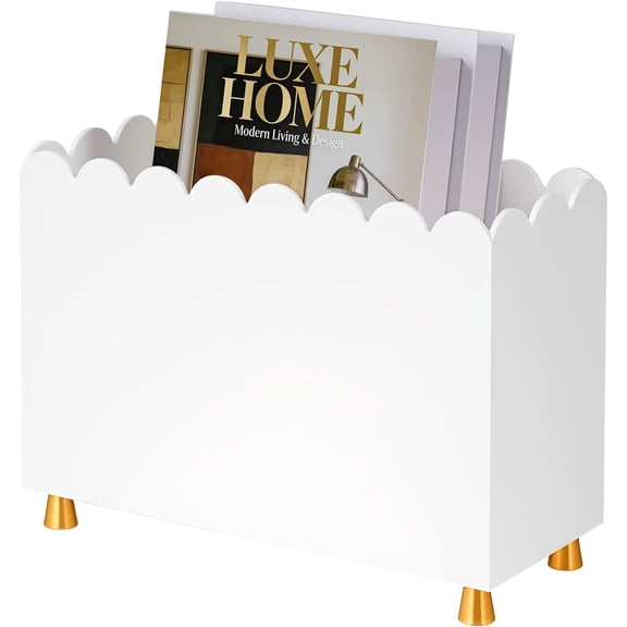 Acrylic Magazine Rack