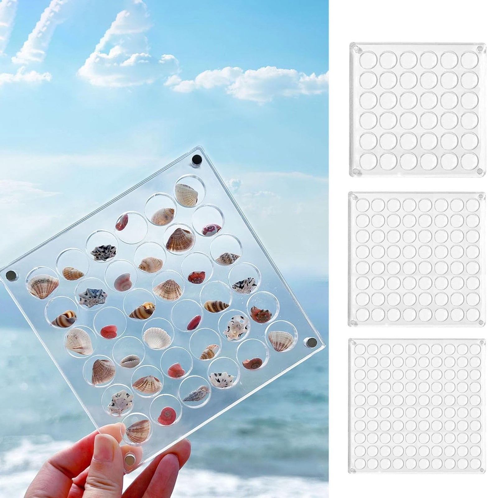 Clear Acrylic Magnetic Seashell Display Box Multiple Grids Large ...