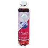 Low Calorie Clear American Huckleberry Sparkling Juice, 17 fl oz Bottle - Walmart.com