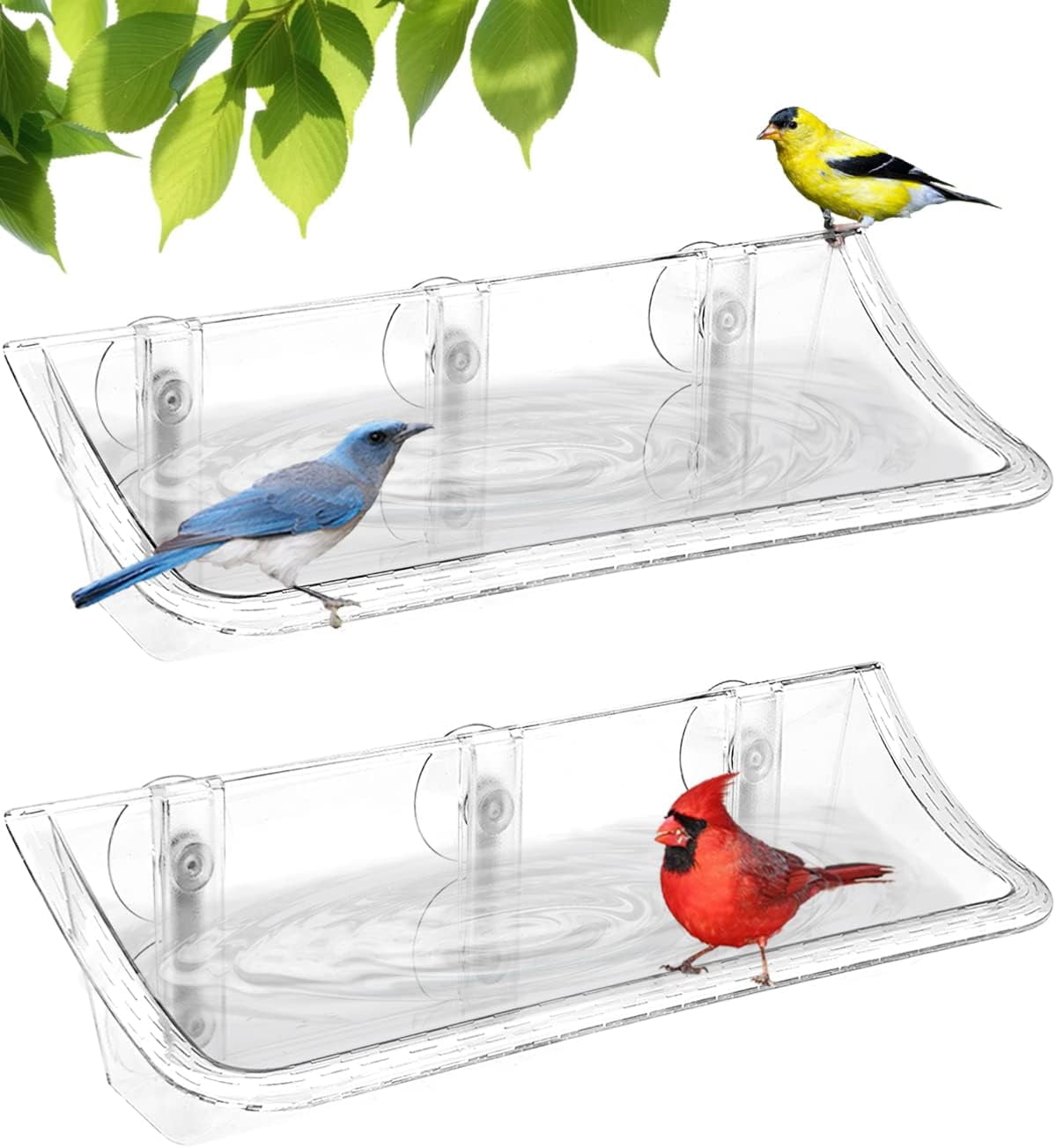 Clear Bird Bath Bird Feeder for Outside Window Glass, Transparent ...