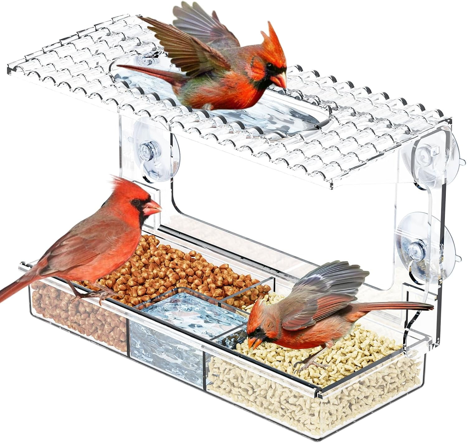 Clear Bird Feeders for Window Viewing Inside,Windows Birds Bath and ...