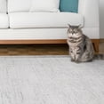 Clear Carpet Protector, 72"x 36"Vinyl Plastic Floor Runner Rug, Heavy ...
