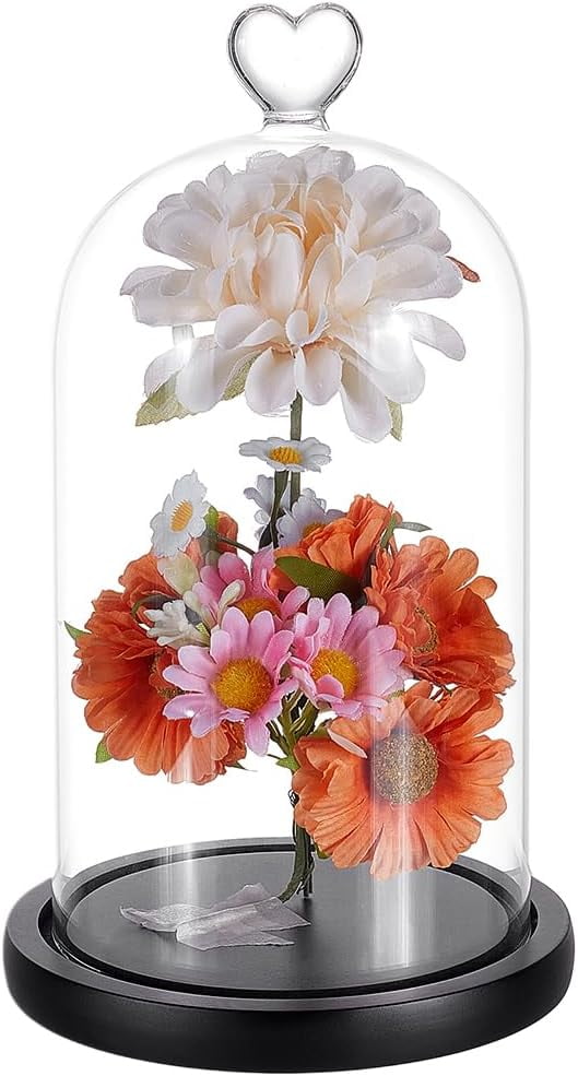 Clear Cloche Glass Dome 4.8"x9.05" Glass Dome Cloche Collectibles Dome ...