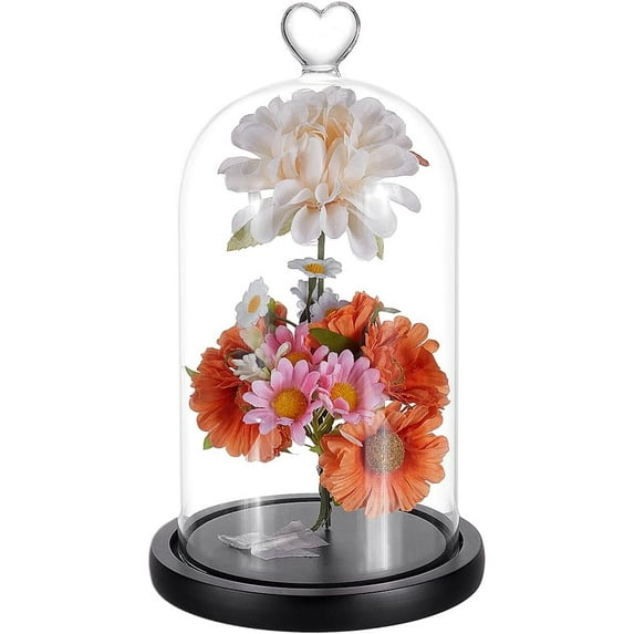 Clear Cloche Glass Dome 4.8"x9.05" Glass Dome Cloche Collectibles Dome ...