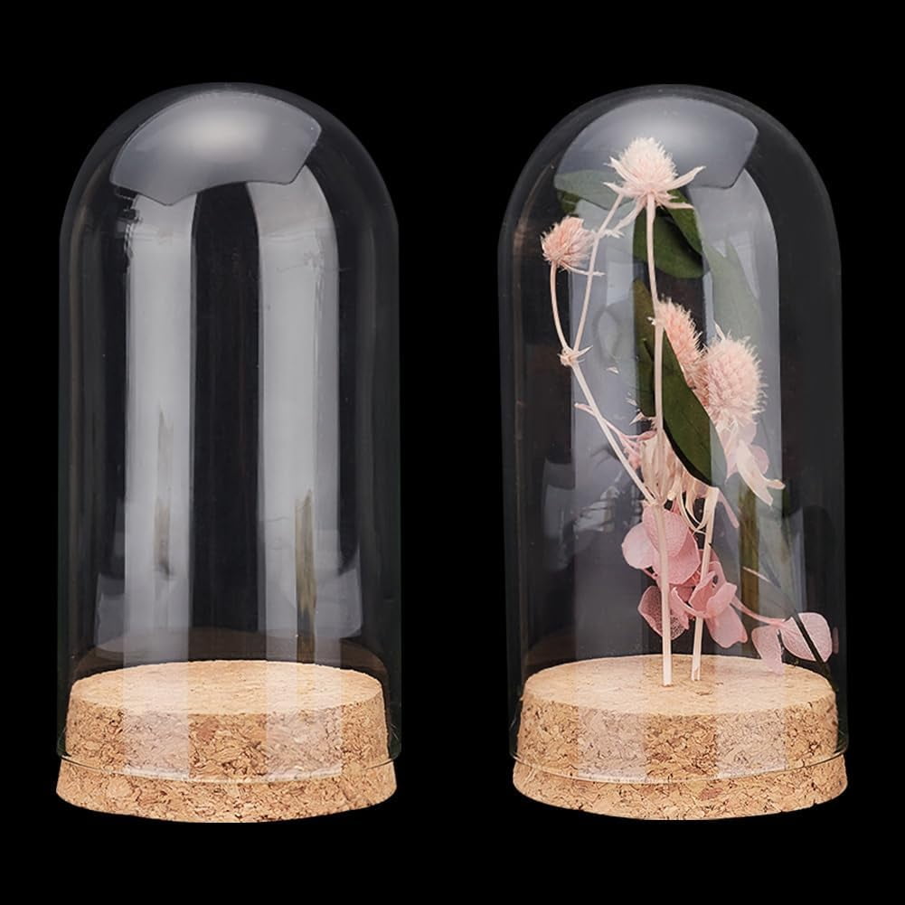Clear Cloche Glass Dome Dome Display Case Bell Jar Cloche with Cork Base Decoration Bottles for ...