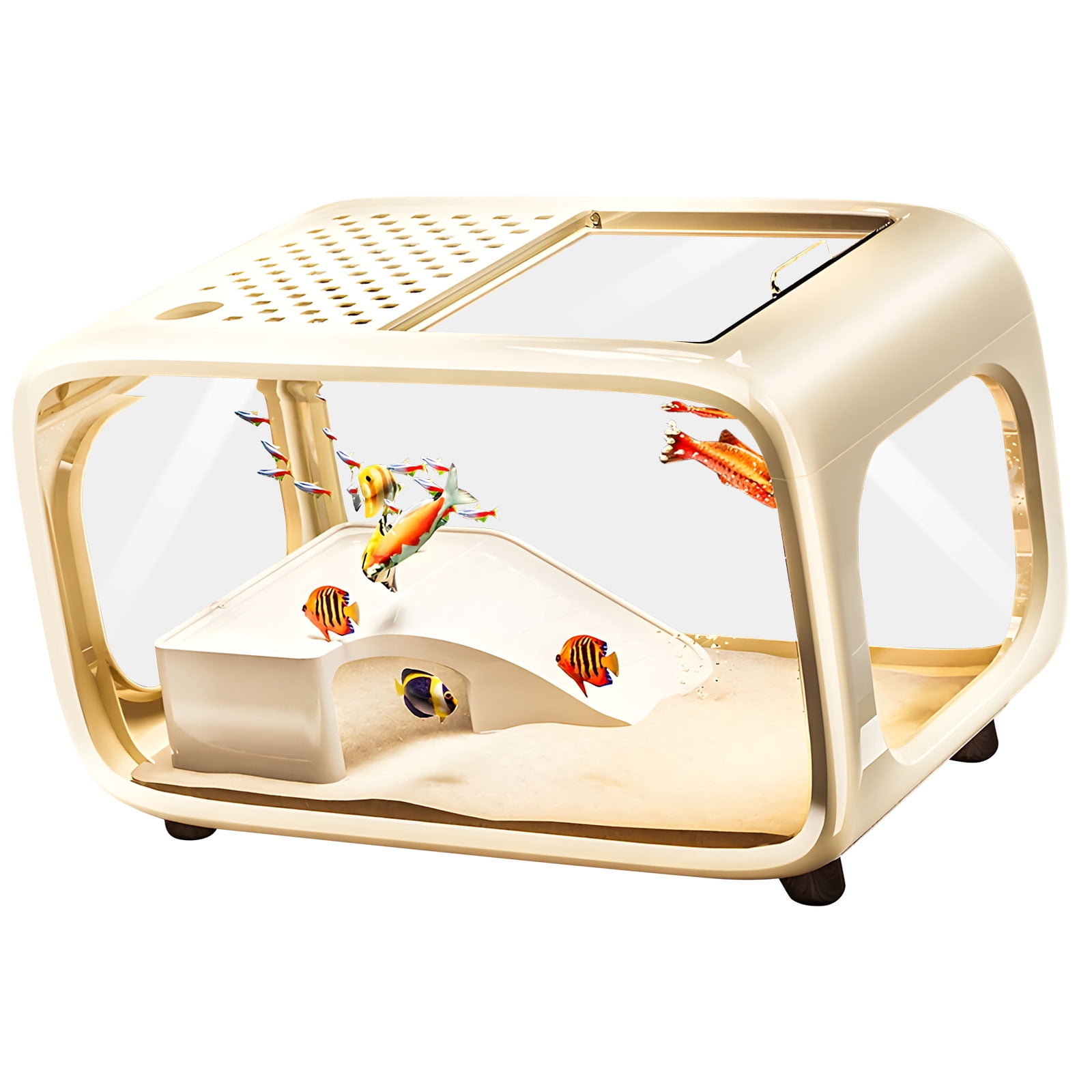 Clear Computer Marinepark With Lid Identity Sustaining Ecosystem For ...