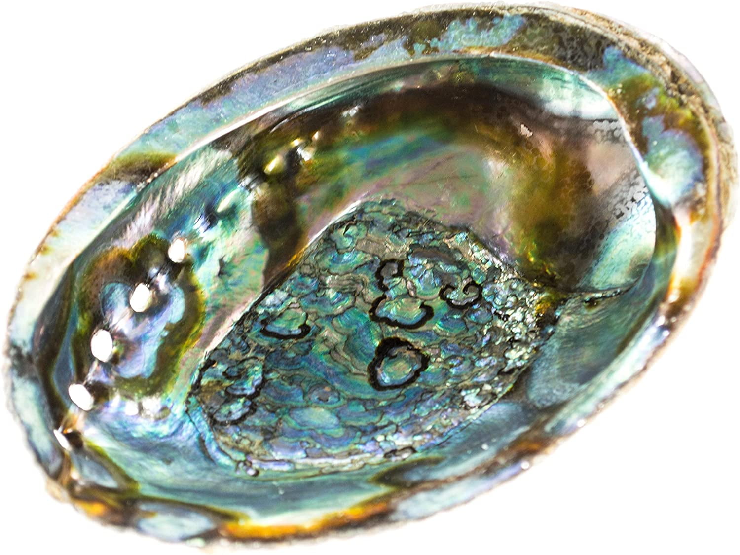 Clear Creek Trading Real Abalone Shell Smudge Bowl - Walmart.com