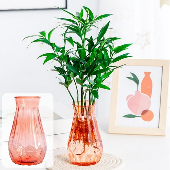 Clear Diamond-Cut Hydroponic er Self-Watering Glass Look Vase for ...
