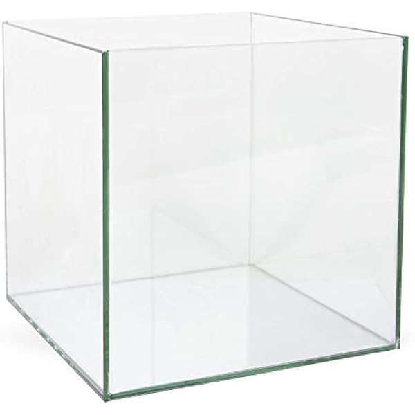 Clear Floral Glass Square Planter 10" H x 10" W x 10" L - Cube Vase ...