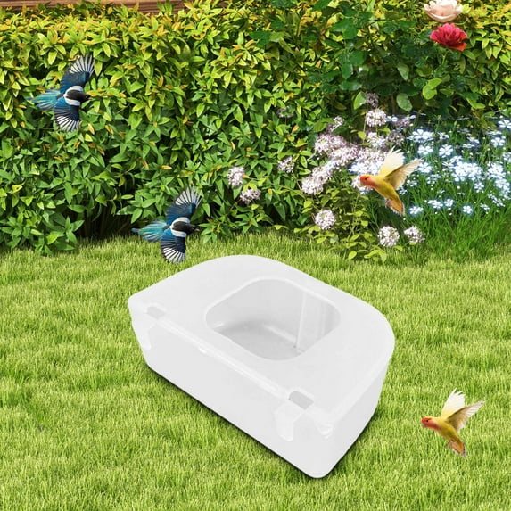 Clear Food Box Spillproof Bird Feeder – Transparent Outdoor Feeder ...