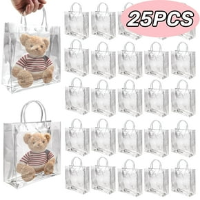 Small Clear Bags