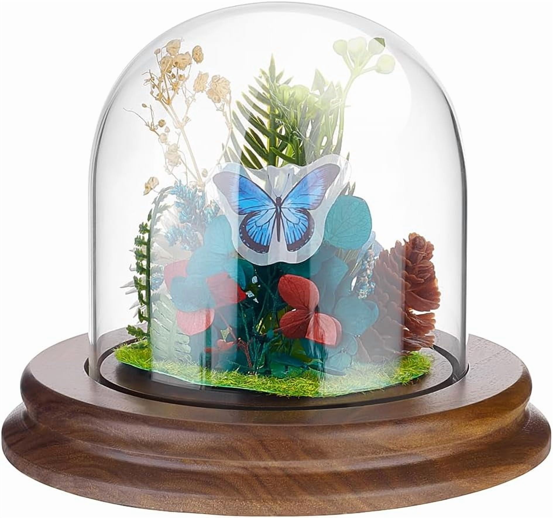 Clear Glass Cloche Dome Display Cases Cloche Bell Jars with Wood Bases ...