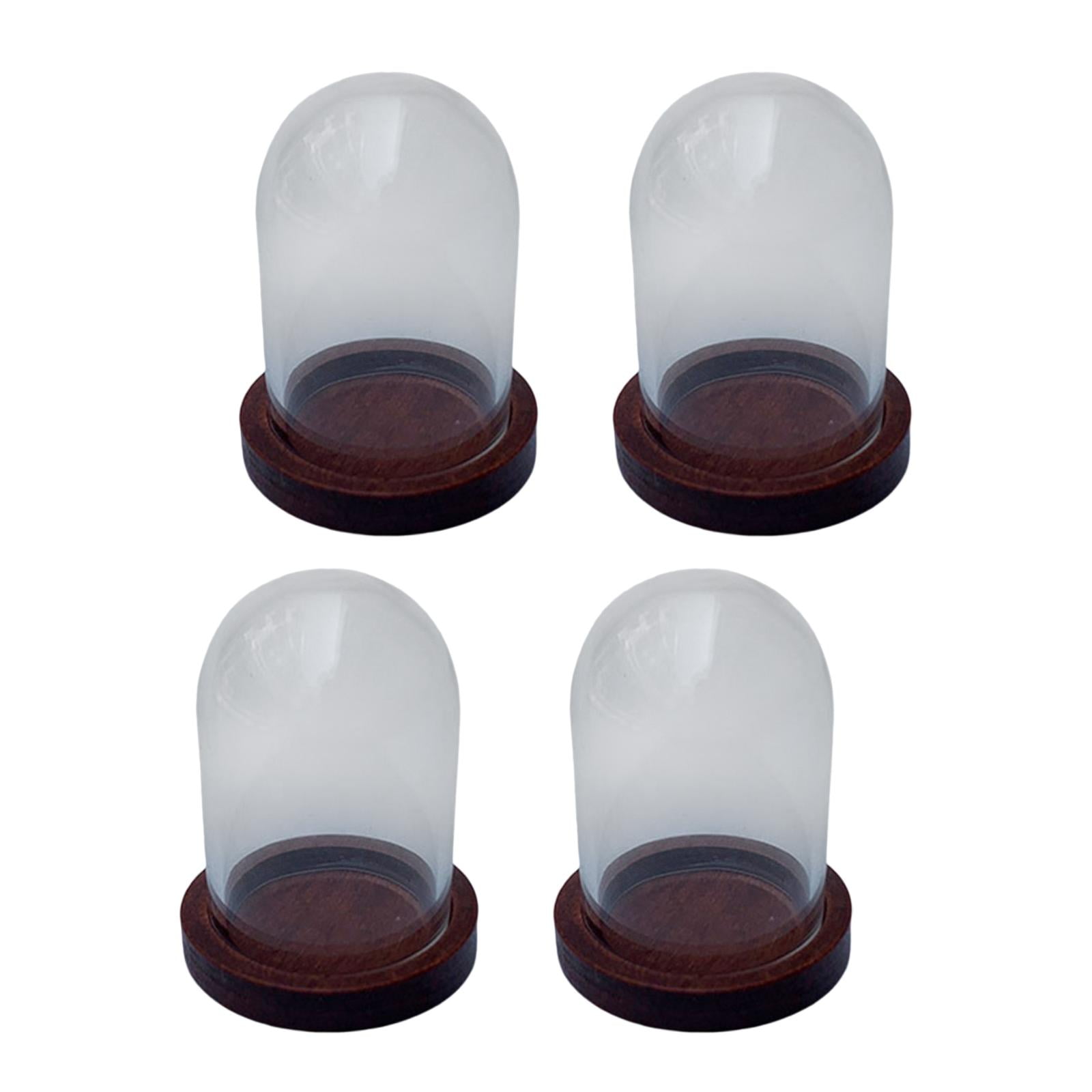 Clear Glass Cloche Dome Display Jar Case DIY Decorative Centerpieces ...