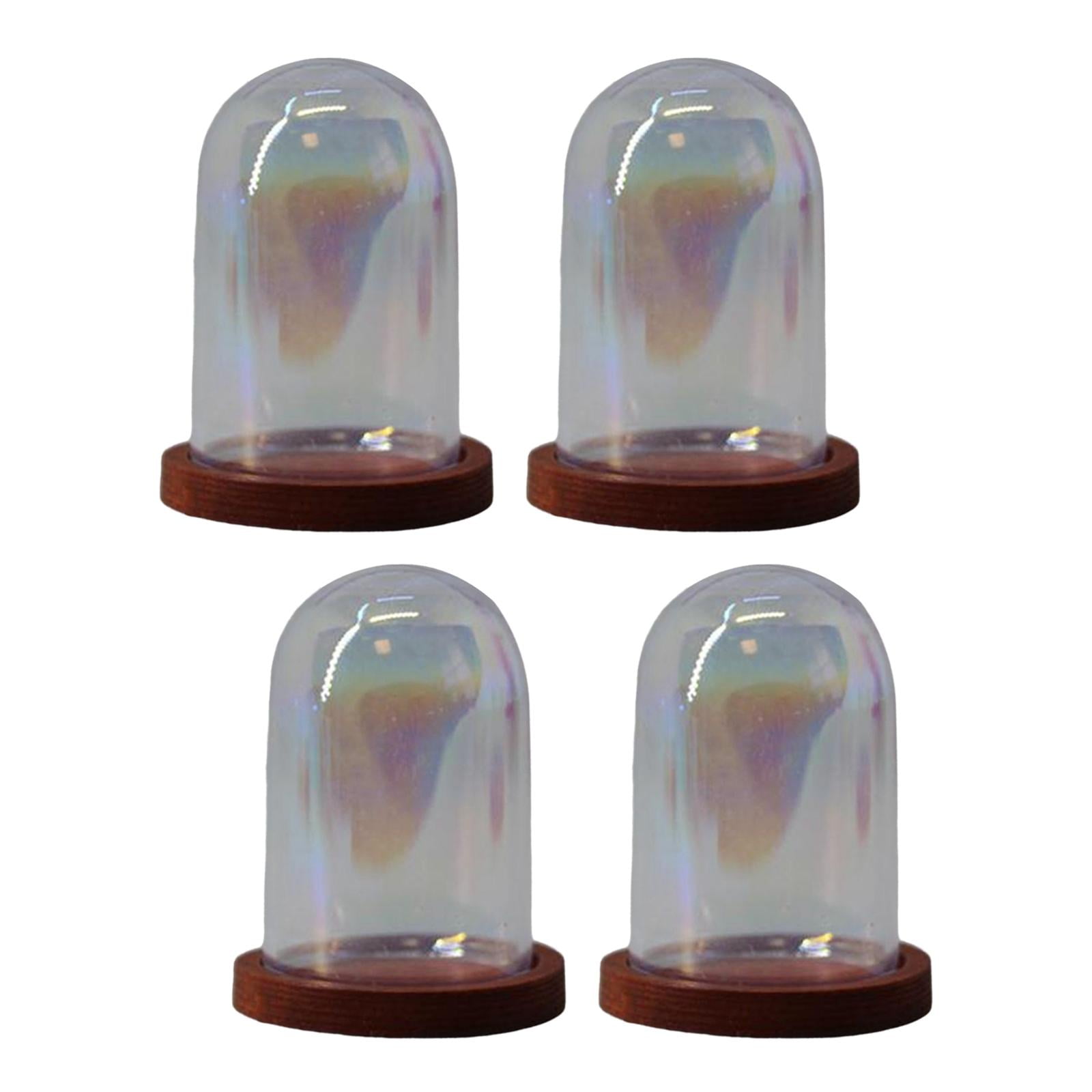 Clear Glass Cloche Dome Vase Dustproof with Wooden Base Cloche ...