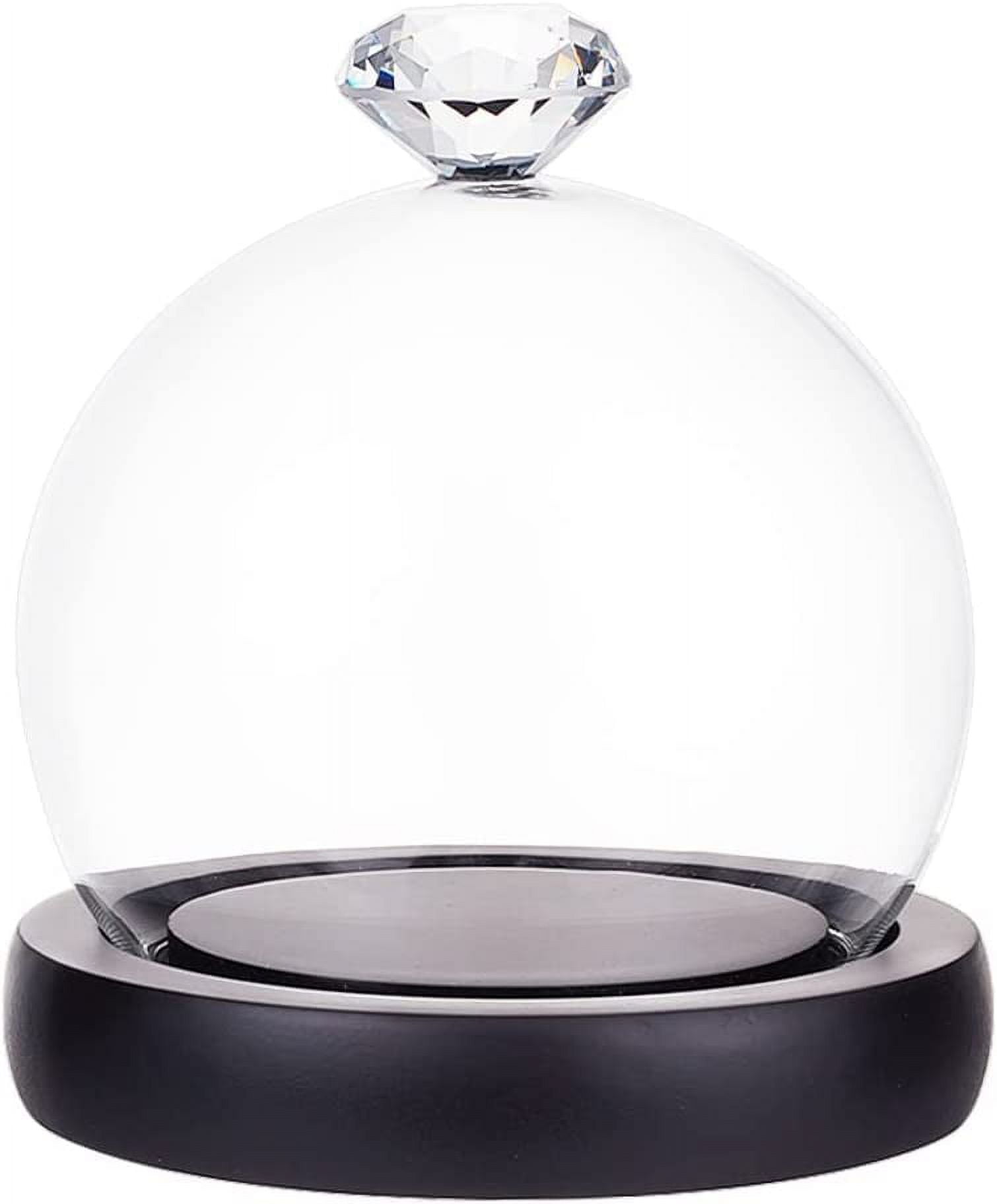 Clear Glass Dome Ball-Shaped Clear Glass Display Case with Black Wood ...