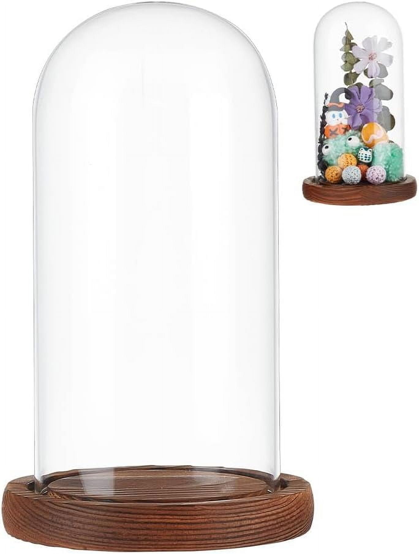 Clear Glass Dome Clear Glass Display Case with Camel Wood Base ...