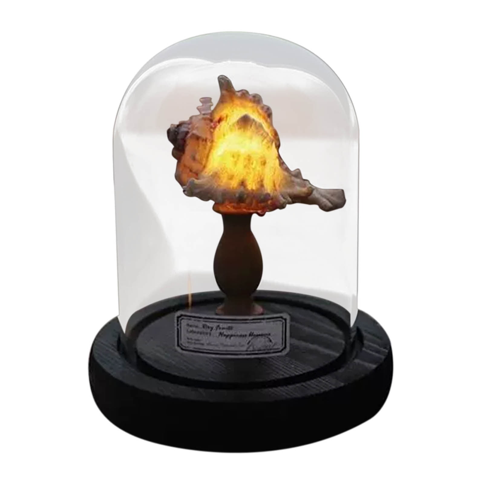 Clear Glass Dome Cloche with LED Lights, Non-finished Product Simples ...