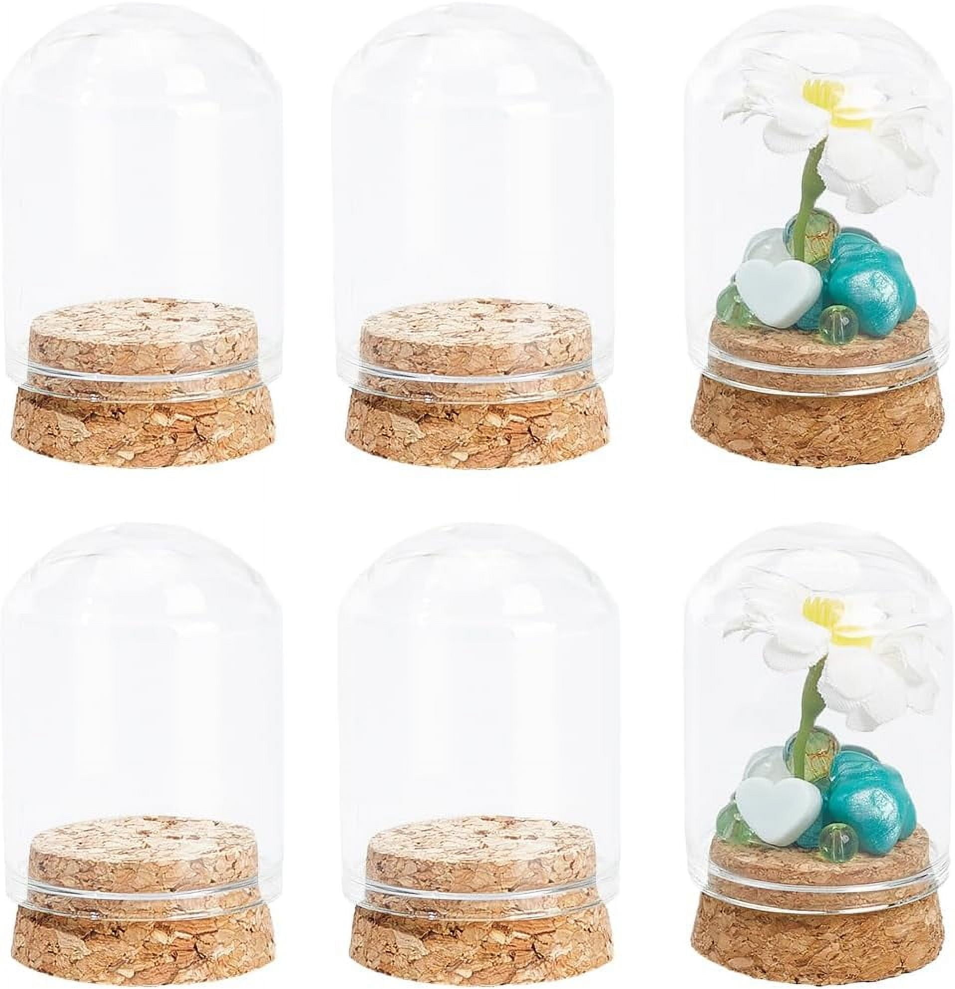 Clear Glass Dome Cover Decorative Display Case Cloche Bell Jar ...