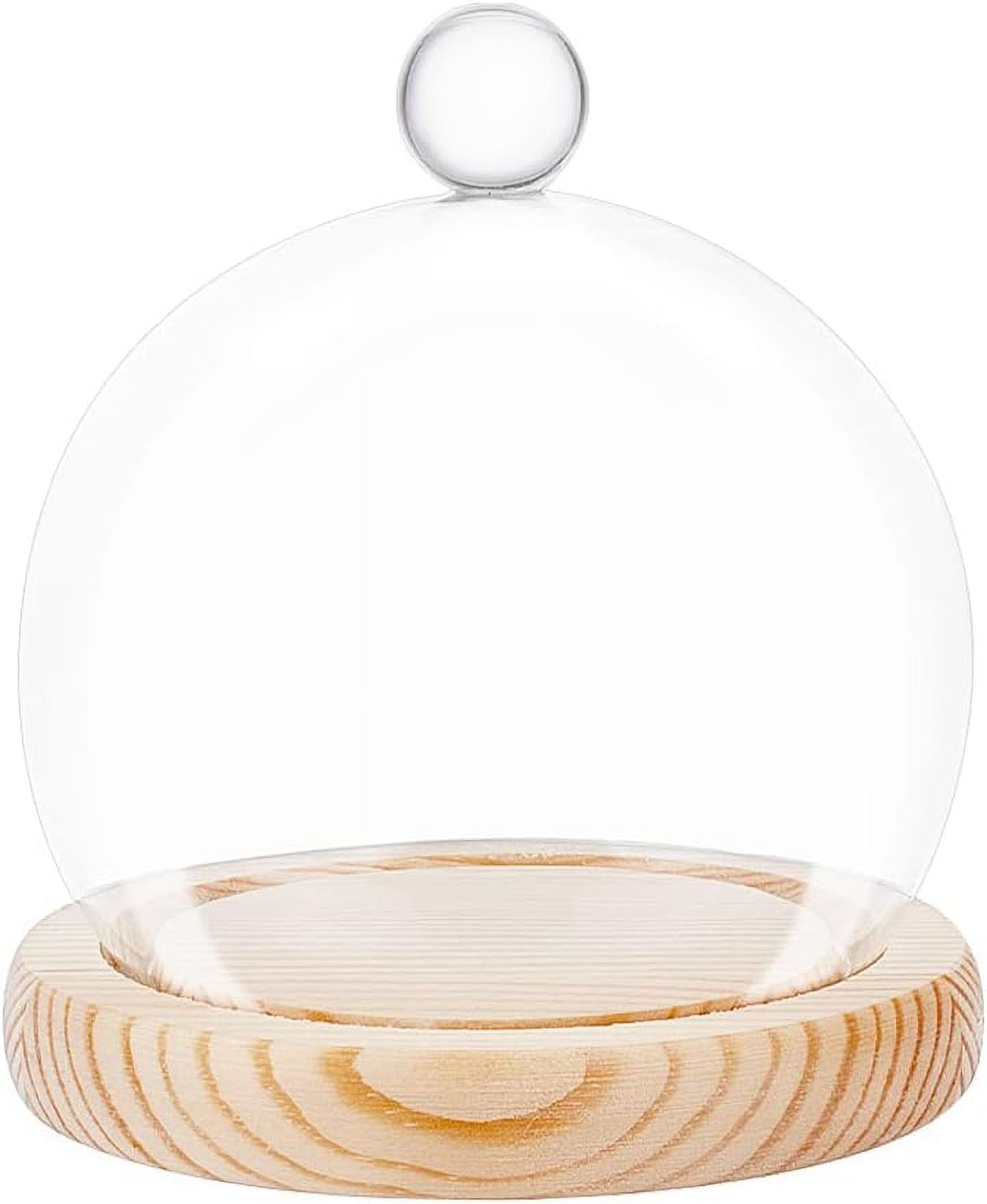 Clear Glass Dome Display Ball-Shaped Clear Glass Display Case with ...