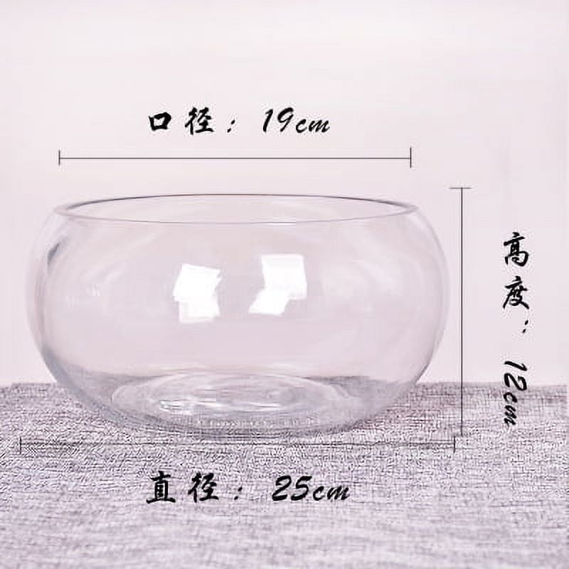 Clear Glass Fish Bowl Planter for Indoor Plants and Hydroponic Flowers ...