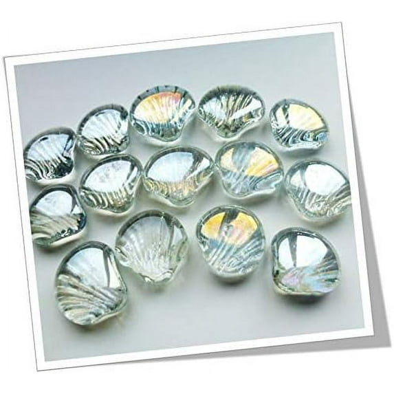 Clear Glass Shell - Scallop Sea Shell for Home Art Craft Vase Filler ...