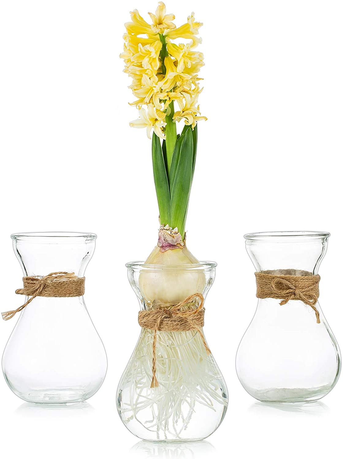 Clear Glass Vase for Flowers, Set of 3 Bulb Vase for Forcing Hyacinth ...