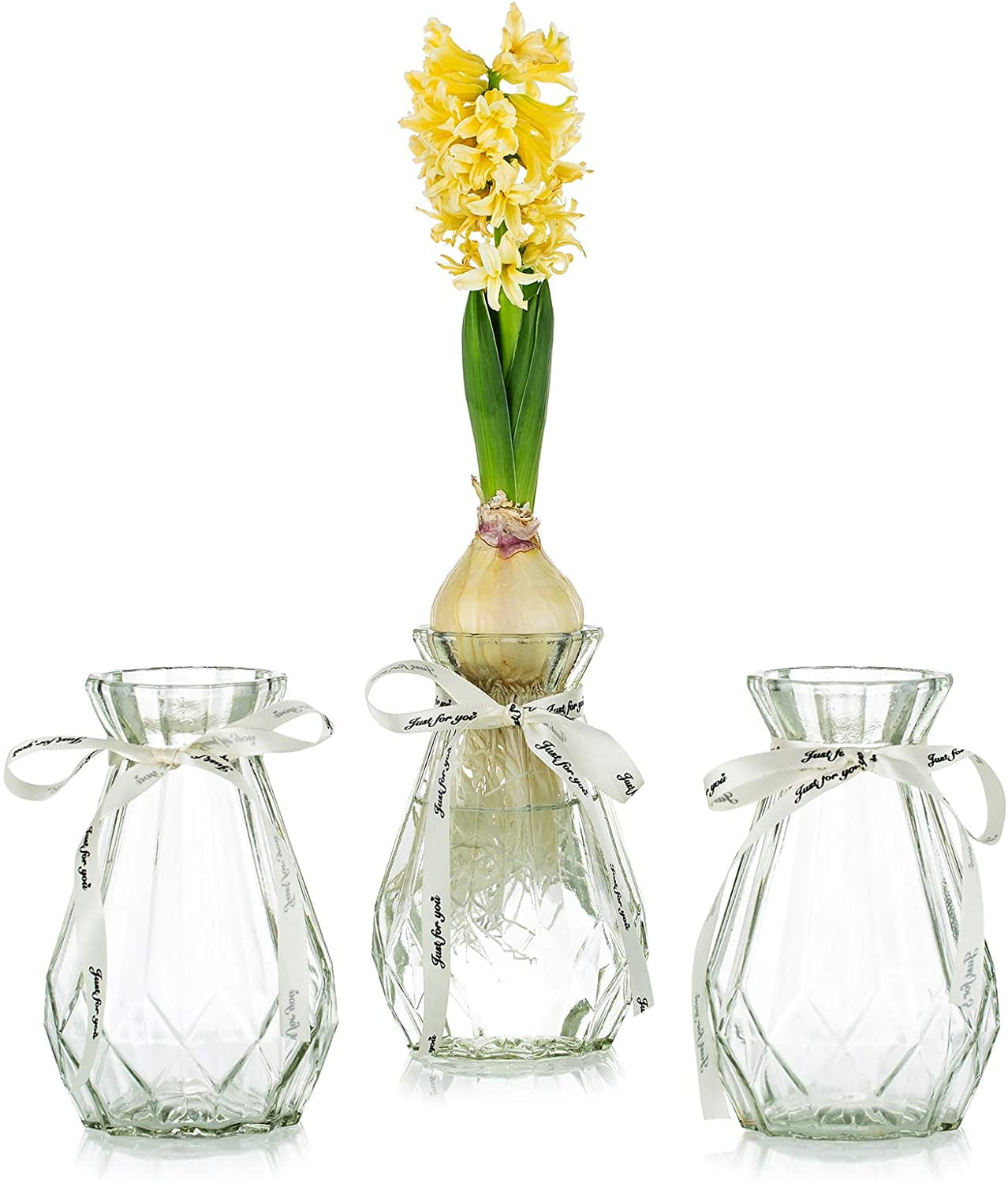 Clear Glass Vase for Flowers, Set of 3 Bulb Vase for Forcing Hyacinth ...