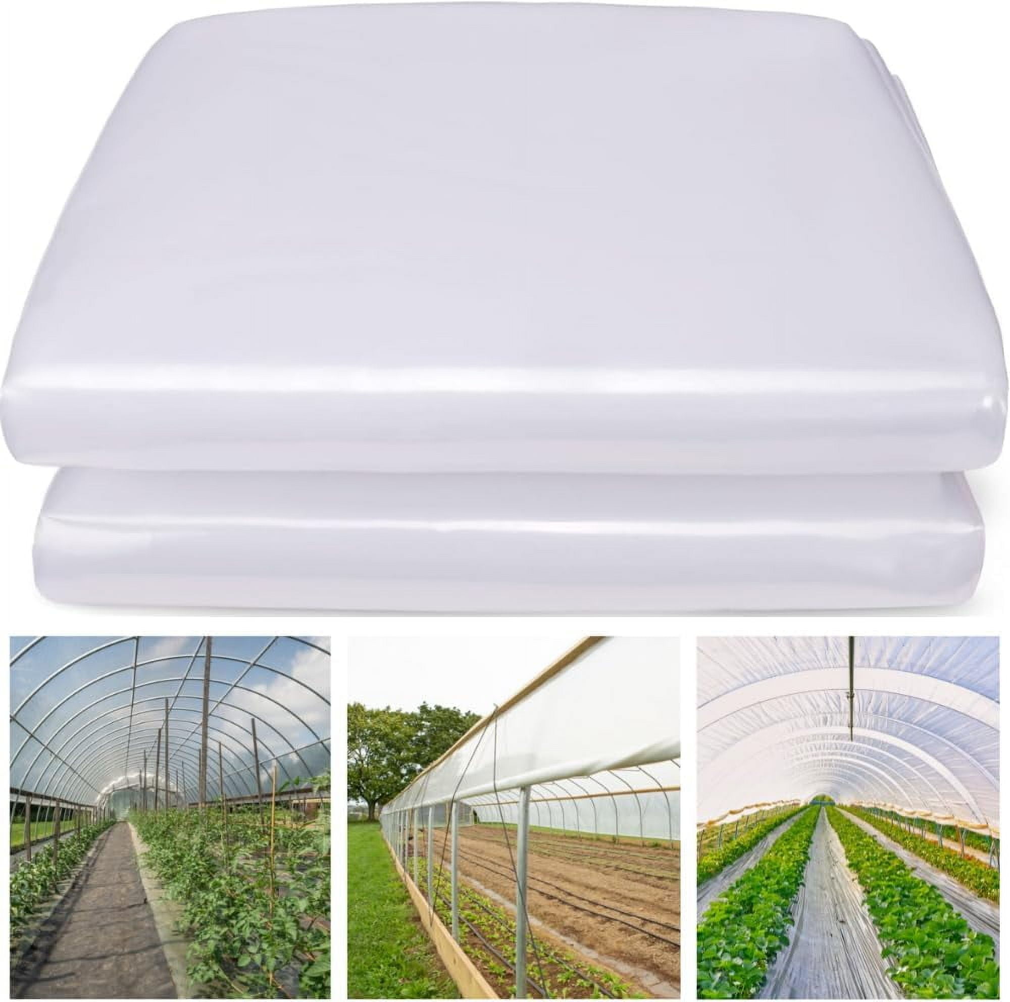 Clear Greenhouse Plastic Sheeting - 6 mil - 4 Year UV Resistant ...