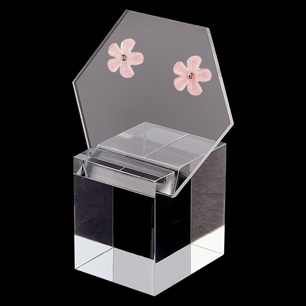 Clear Jewelry Organizer Displays 2 Holes Acrylic Earring Display Stands ...