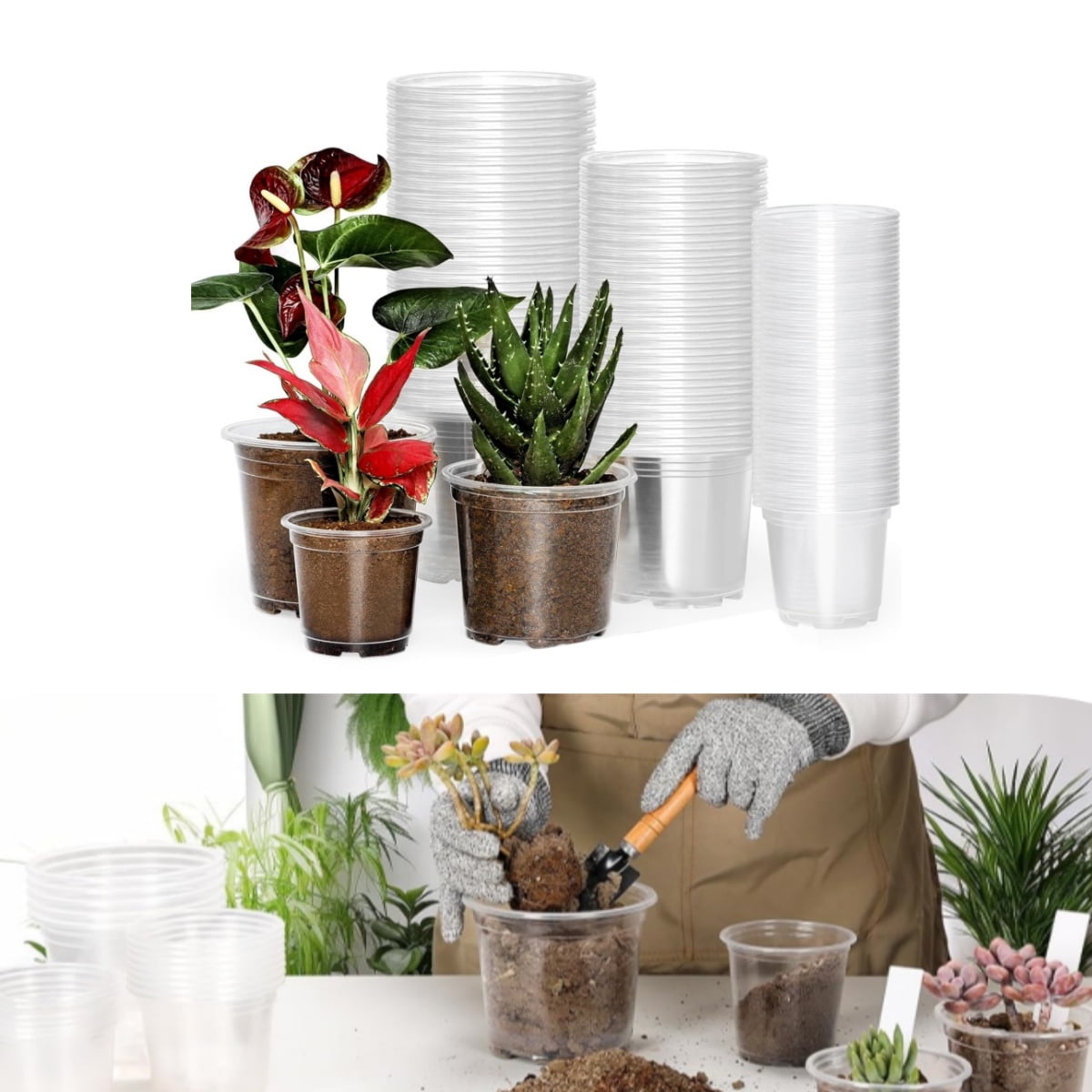 Clear Nursery Pots,Clear Nursery Pots with Drainage,30 Pack Flower ...